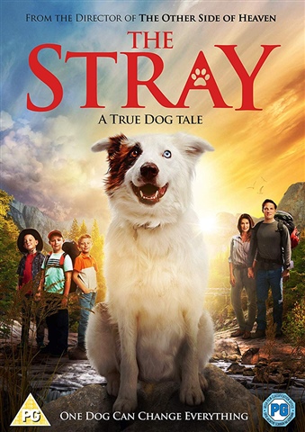 Stray, The (PG) - CeX (UK): - Buy, Sell, Donate